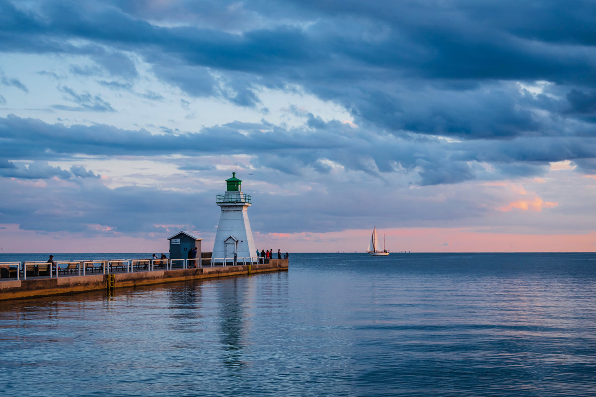 Rogue Tiger – woodhouse gallery